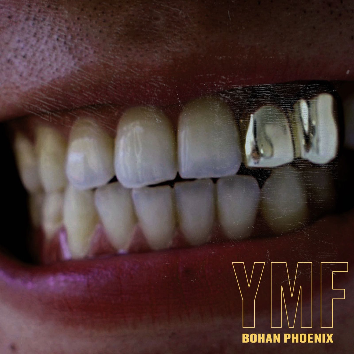 Bohan Phoenix Injects a Dose of Reality into China's Hip Hop Boom on ...